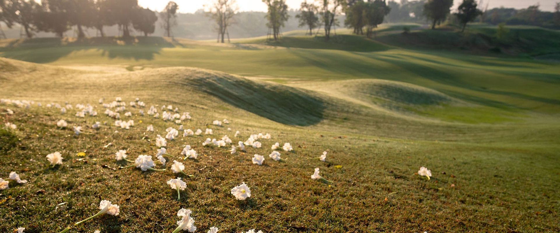 Extraordinary Services - More than Golf